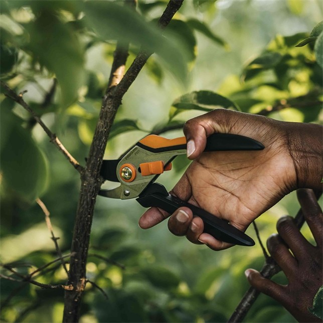 Fiskars steel bypass pruning shears store